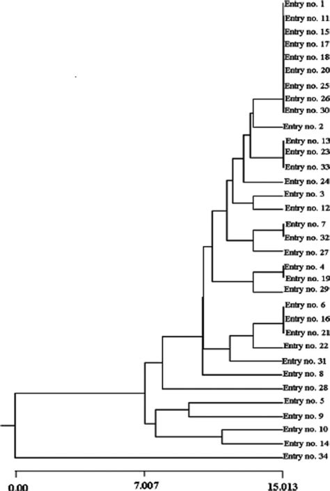 Upgma Dendrogram Illustrating The Genetic Relationships Of Selected Download Scientific