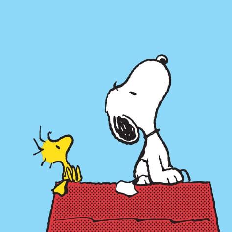스누피 명언 읽기만 해도 위로가 되는 44가지 명언 유즈풀가이드