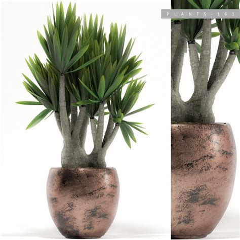 Plants 161 3d Model For Vray