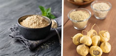 Maca Root Benefits For Men Best Maca Root For Mens Health Vinatura Supplements