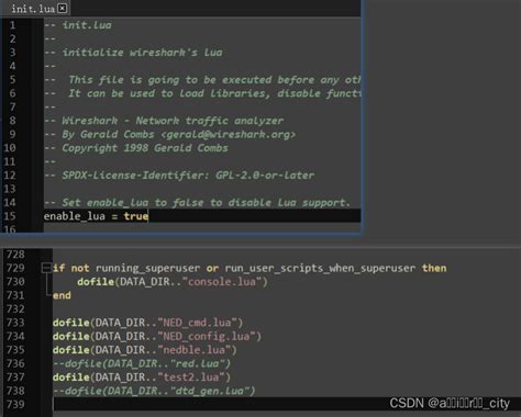 Wireshark内嵌解析协议的lua脚本wireshark Lua Csdn博客