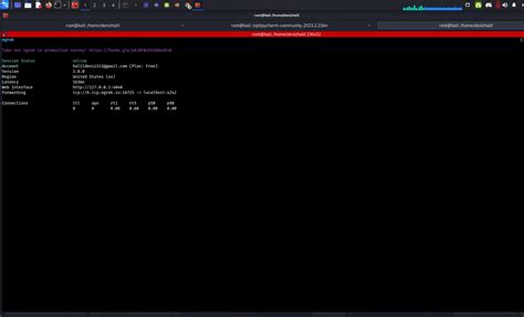 Ngrok Usage And Pyngrok Library A Comprehensive Guide DenizHalil Professional Cybersecurity