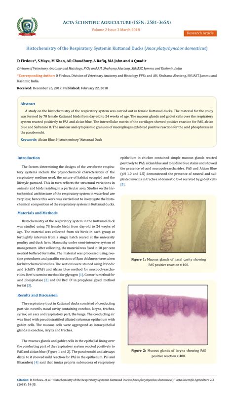 Pdf Histochemistry Of The Respiratory Systemin Kuttanad Ducks Anas Platyrhynchos Domesticus