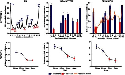 Comparison Between Auditory Nerve Human Brainstem Evoked Potentials