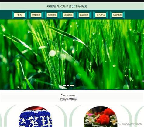 Springmvc绿植培养交流平台java的ssm设计与实现基于mvvm的植物爱好者交流平台的设计与实现 Csdn博客