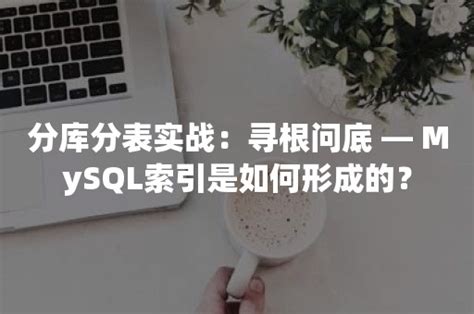 分库分表实战寻根问底 MySQL索引是如何形成的 PingCAP 平凯星辰