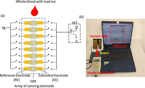 A Schematic Illustration Of Extended Gate Ism Fet Showing The Metal