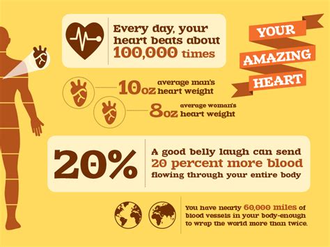 How Beta Blockers Affect Your Exercise Routine Health Journal