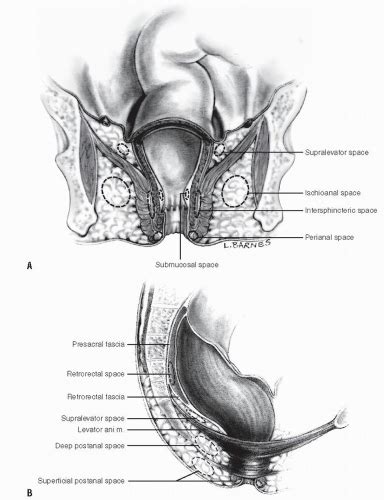 C1 FF15 Gif Abdominal Key