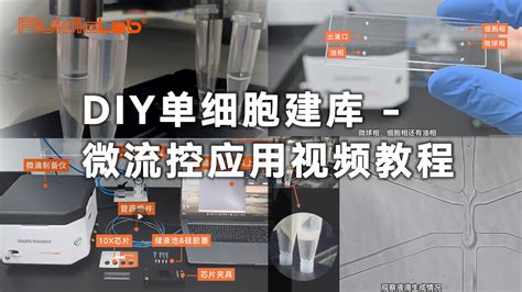 层流流动腔（flow Cell 细胞计数、化学分析、光谱分析、免疫荧光测定、基因测序 Fluidiclab微流控实验室 值得您信赖的微流控合作伙伴