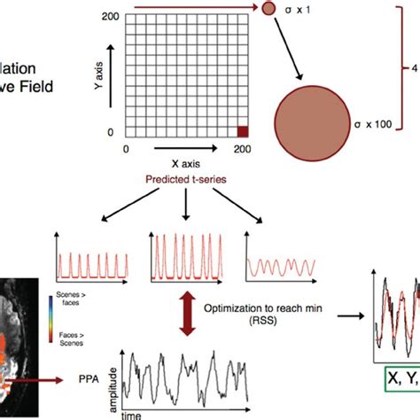Population Receptive Field Modeling Schematic Schematic Representation