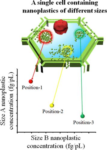 Quantitative Analysis Of Nanoplastics In Single Cells By Subcellular