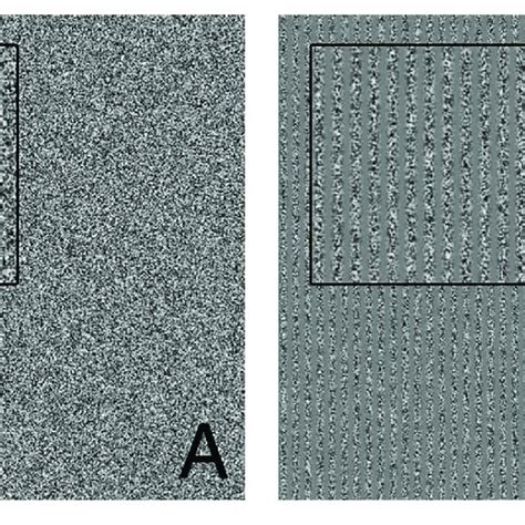 Visual Threshold Task Example Presentations A Patch Containing Download Scientific Diagram
