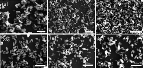 Sem Images Showing The Morphology Evolution Of As Prepared Samples