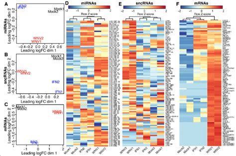 Wnv Infection And Ifn Alpha Treatment Alter The Profiles Of Coding And