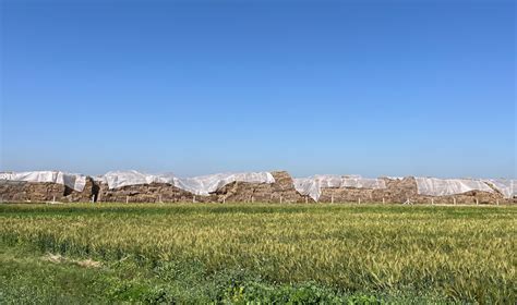 Plug Flow Digester Uzzala Bio Energy Solutions Pvt Ltd