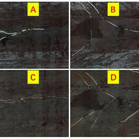 Root Morphology Difference Of The Micro Root Window Between The