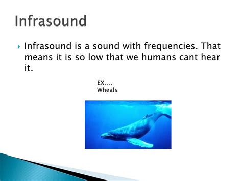 Ppt Infrasound And Ultrasound Powerpoint Presentation Free Download