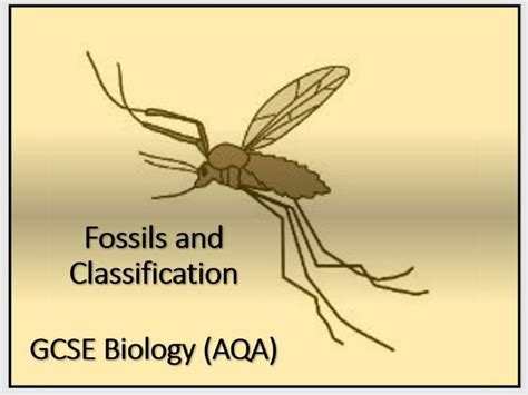 Inheritance Variation And Evolution Gcse Biology Aqa Topic 6 Teaching Resources