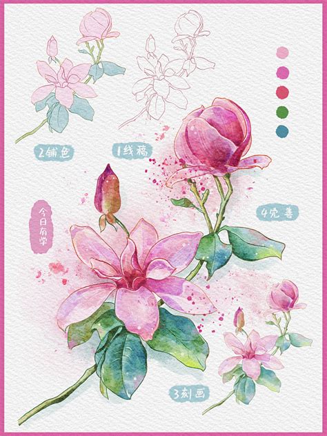 零基础学画画——玉兰花教程1