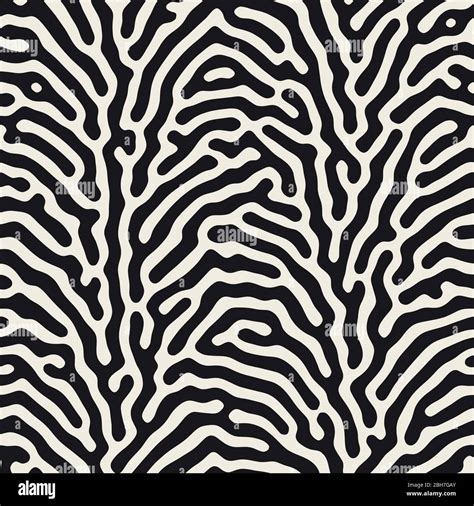 Vector Seamless Zebra Pattern Monochrome Organic Shapes Texture Abstract Rounded Messy Lines