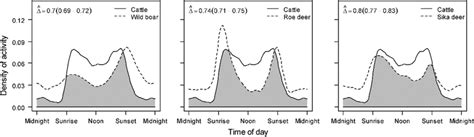 Temporal Overlap Of Daily Activity Patterns Between Cattle Solid Line Download Scientific