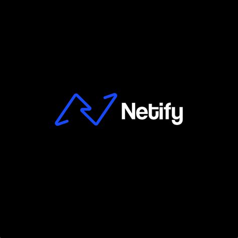 Netify Branding Logo By Shah Newaz On Dribbble