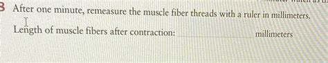 3 After One Minute Remeasure The Muscle Fiber Threads With A Ruler