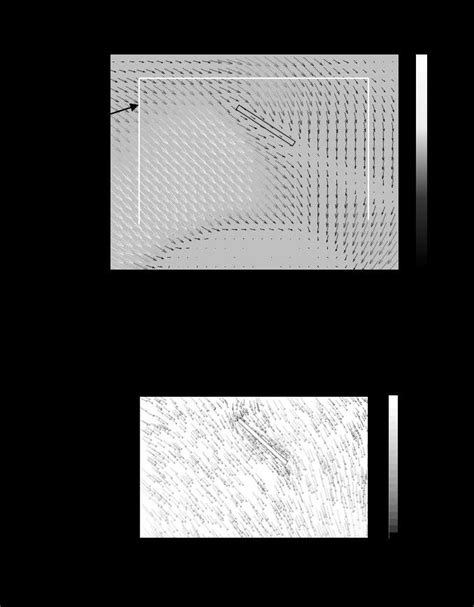 5 Comparison Between Piv Measured And Cfd Predicted Velocity Fields For Download Scientific