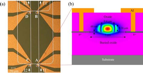 A Optical Micrograph Of Our Fabricated 2×2 Microring Resonator Based Download Scientific