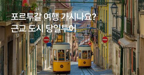 포르투갈 여행 가시나요 근교 도시 당일 투어