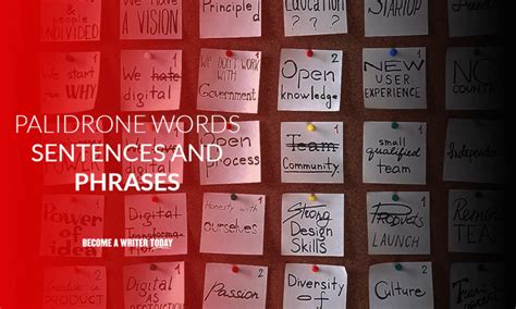 101 Palindrome Words Sentences And Phrases To Check Out