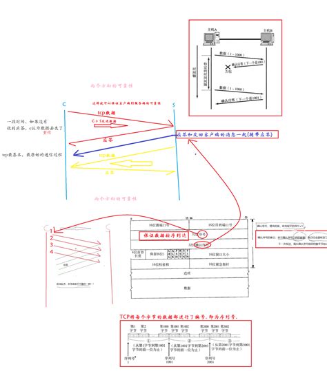 tcp协议 网络 csdn博客