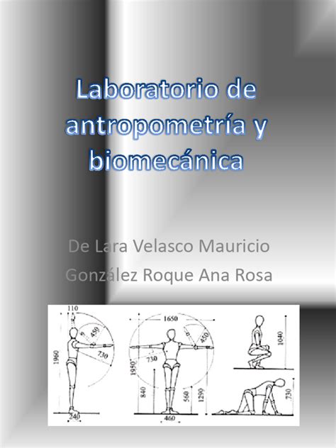 Medidas Antropométricas Silla De Ruedas Pdf
