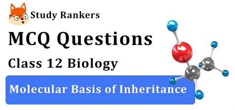 MCQ Questions For Class Biology Ch Molecular Basis Of Inheritance