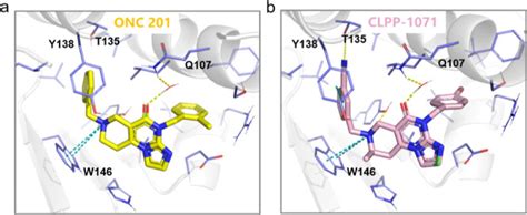 Discovery Of Clpp 1071 As An Exceptionally Potent And Orally