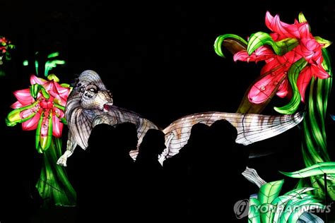 알록달록 빛의 향연프랑스 파리 랜턴 페스티벌 연합뉴스