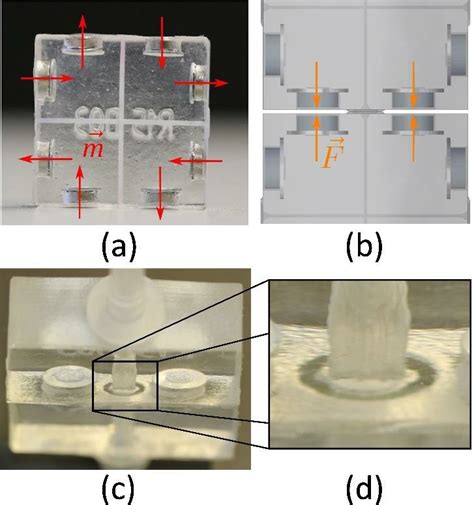 Principle Of The Connection System A Modular Microfluidic Block With Download Scientific