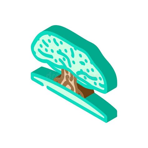 Bodhi Tree Buddhism Isometric Icon Vector Illustration Stock