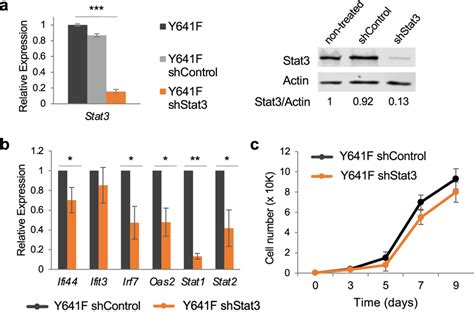Stat3 Knockdown In Melanoma Cell Lines Partially Restores Ifn Related