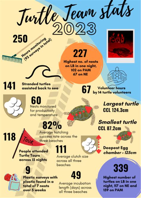 Green Turtle Nesting Season Round Up Ascension Island Government