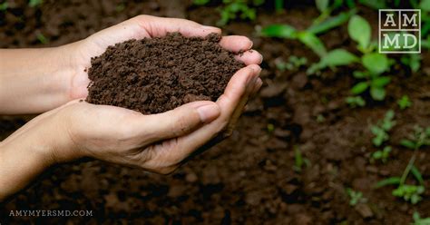 Composting The New Old Way To Boost Nutrients Amy Myers MD