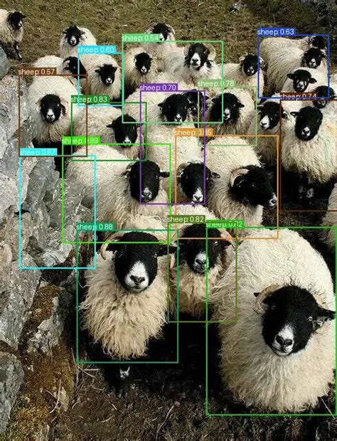 Rt Detr Beats Yolo Full Comparison Tutorial