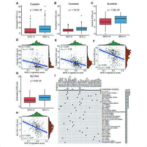 Role Of Mhc Ii Signature In Drug Sensitivity Prediction In The Download Scientific Diagram
