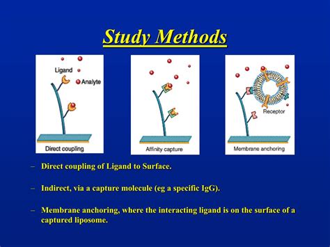 Ppt The Bia Core 3000 Powerpoint Presentation Free Download Id 1296131