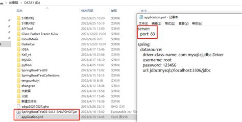 SpringBoot配置文件的分类 极客之音
