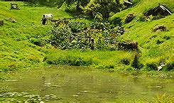 Lotr Meme Treebeard Gif WiffleGif Lotr Meme Treebeard Gif WiffleGif