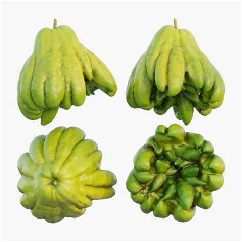 Fingered Citron 3d Model Turbosquid 2022162