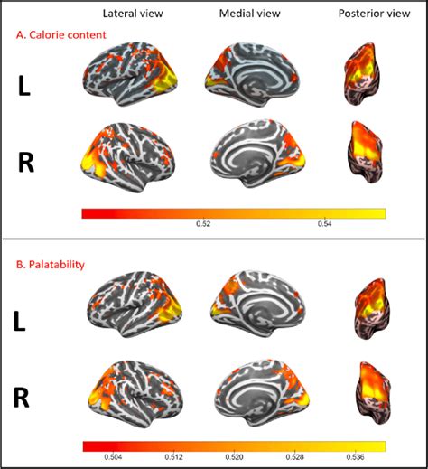 multivariate analysis clusters with decoding accuracy significantly