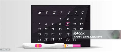 여성 생식 기관 및 임신 계획의 개념 월간 임신 달력과 중립 배경에 두 개의 줄무늬가있는 긍정적 인 임신 테스트 0명에 대한